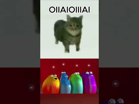 OIIAIOIIIAI (spinning cat meme) - Blob Opera