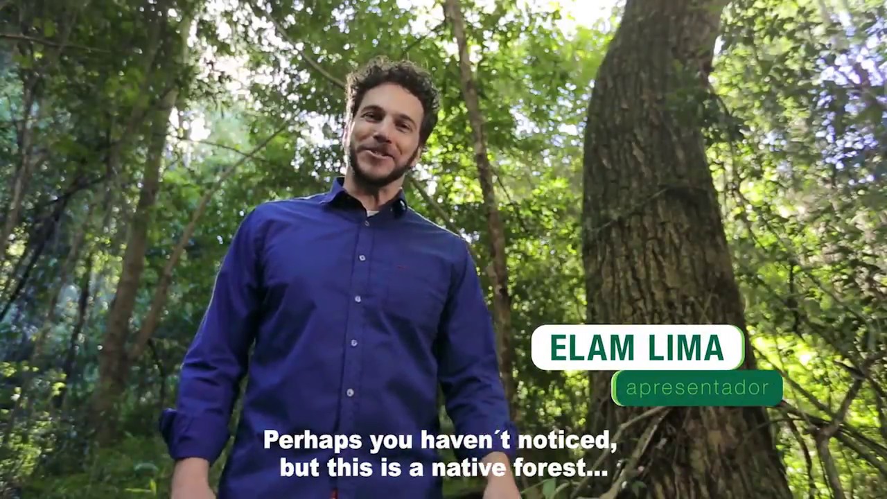 FSC® – Forests for all forever (English subtitles)