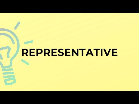 What is the meaning of the word REPRESENTATIVE?