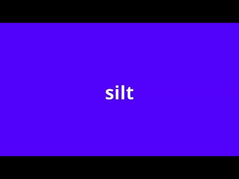 what is the meaning of silt