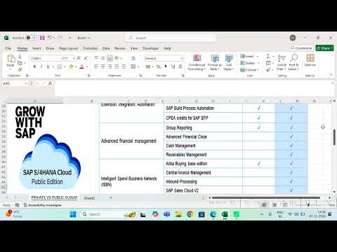 SAP S/4HANA FICO: SAP PUBLIC CLOUD (GROW WITH SAP) vs SAP PRIVATE CLOUD (RISE WITH SAP)