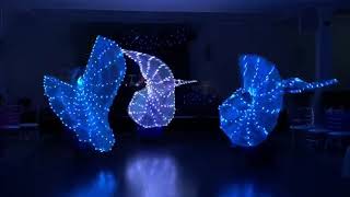 Led dancers, angels for hire in Toronto. Glow Dancers for Events.