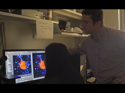 "What I Love Most About the Job is the Discovery Process."