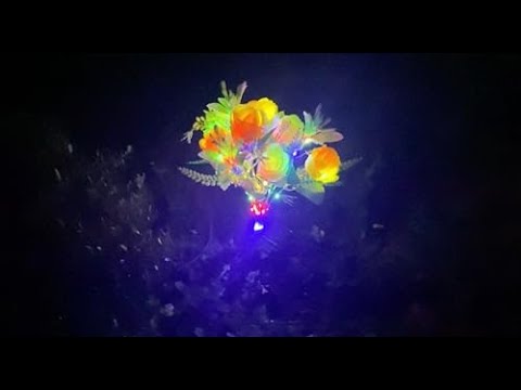 These Solar Garden Flower Lights Look Beautiful