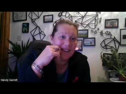 Solar Panels with Russell Theron Wendy Garrett Learning you fit solar 10112022
