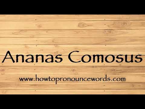How To Pronounce Ananas Comosus ? How To say Ananas Comosus New Video