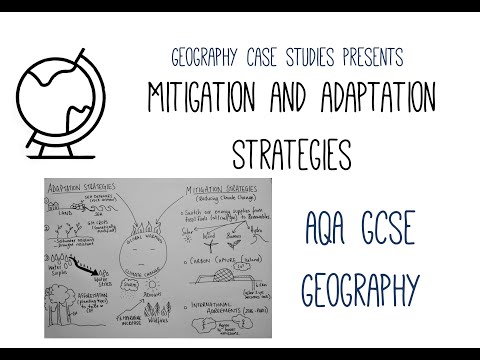 Mitigation and Adaptation Strategies for Climate Change