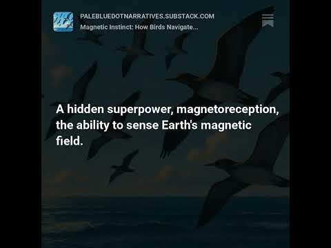 How Birds Navigate Using Earth’s Magnetic Field—and What It Means for Conservation