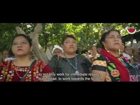 Support Grassroots Earthquake Recovery in Mexico - GlobalGiving