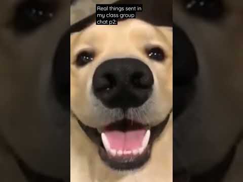#funny #gif