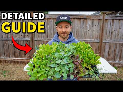 Complete Seed Starting Guide For Beginners: VERY DETAILED!
