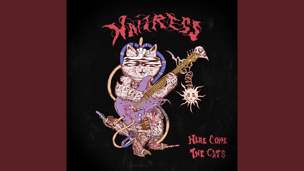 Here Come The Cats