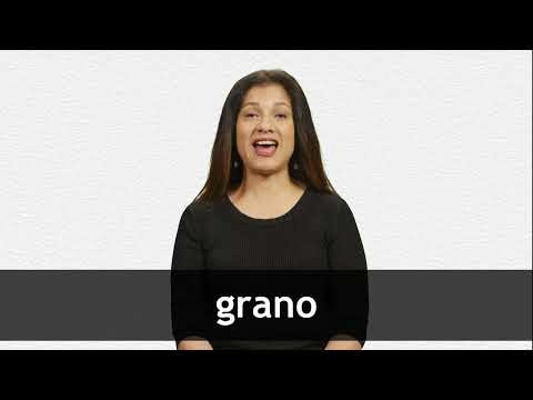 English Translation of “GRANO” | Collins Spanish-English Dictionary