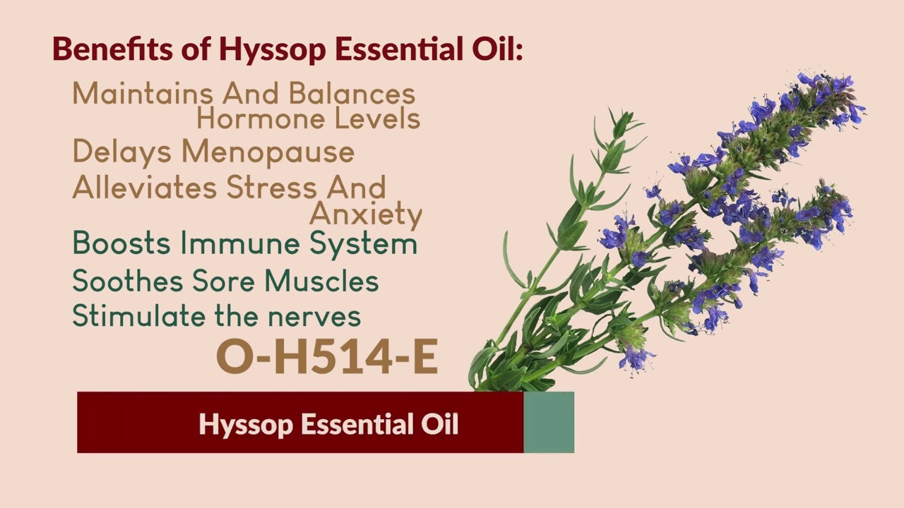 Hyssop Essential Oil