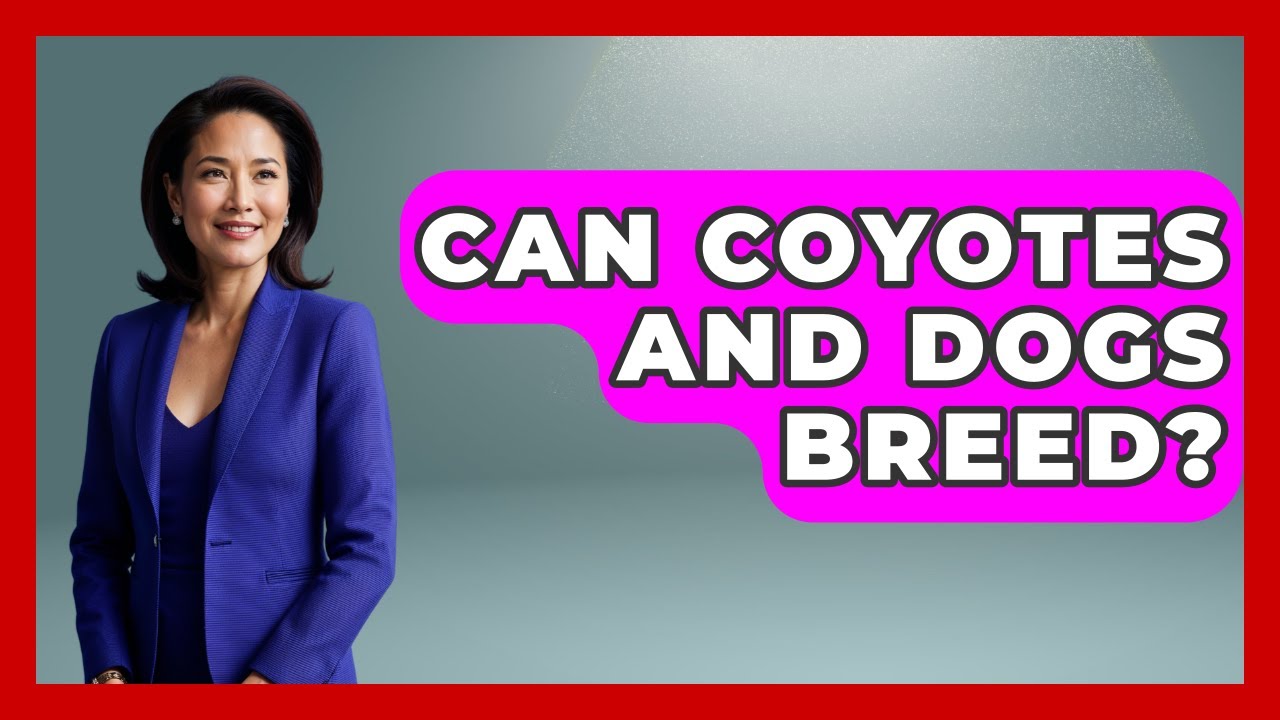 Can Coyotes And Dogs Breed? - Exploring Campgrounds