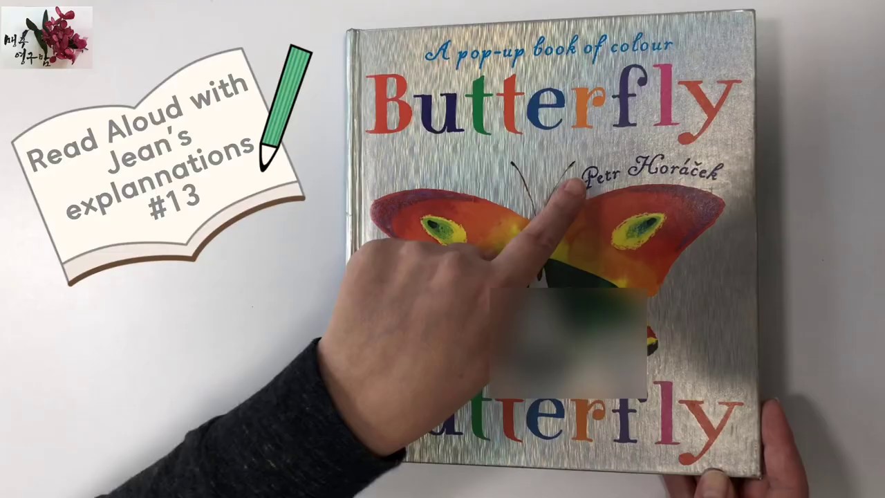[Butterfly Butterfly] by Petr Horacek | Read Aloud with Explanations  픽토리