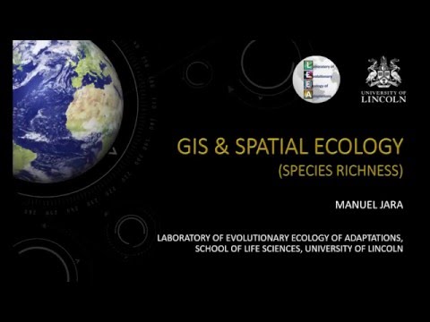 Species richness
