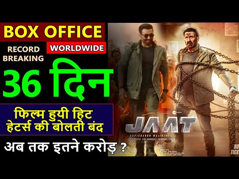 Jaat Box Office Collection Day 36, jaat total worldwide collection, sunny deol