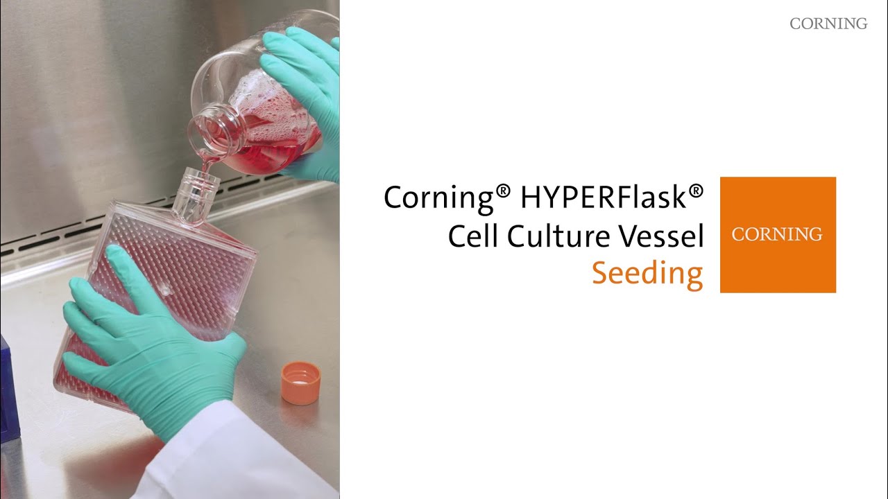 Corning® HYPERFlask® How To | Step 1: Seeding