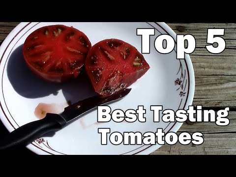My Top 5 Best Tasting Tomatoes.