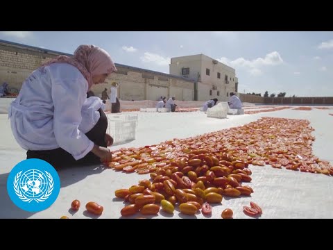 State of Food Security and Nutrition in the World 2022- Interview with FAO Chief Economist