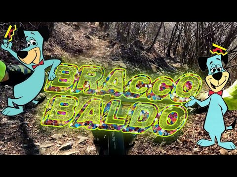 BRAccOBALDO | MTB
