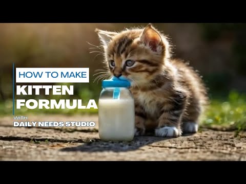 Get PERFECT Kitten Formula Without the Hassle!