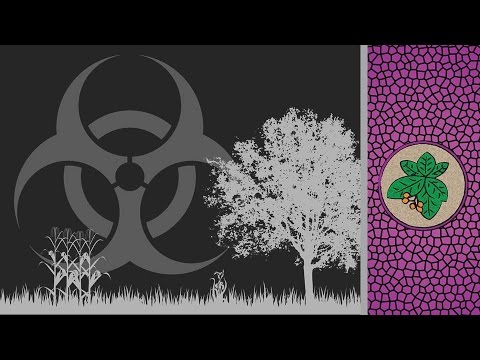 What is (and isn't) a GMO