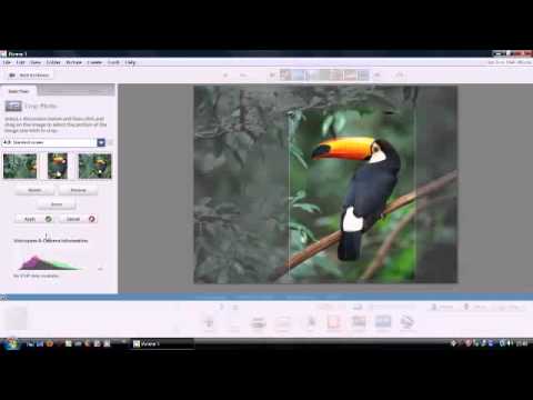 Basic photo editing in Picasa