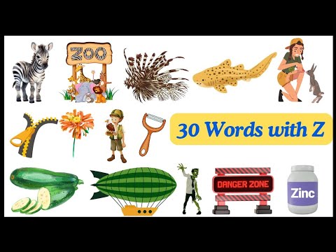 30 Words starts with 'Z' | English Vocabulary | Phonics for letter Z