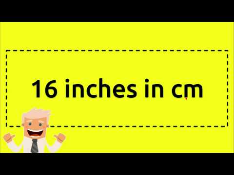 16 inches in cm