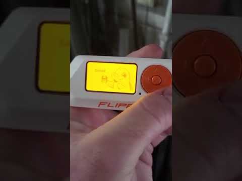 HOW TO PAIRED FLIPPER ZERO TO Rolling-code Garage Doors. Here's how #flipperzero #hacker