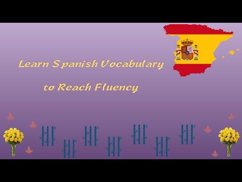Spanish Vocabulary- Synonyms and Antonyms-Beginner Level.