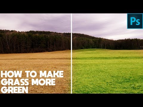 Photoshop Tutorial - How To Make Grass More Green In Photoshop
