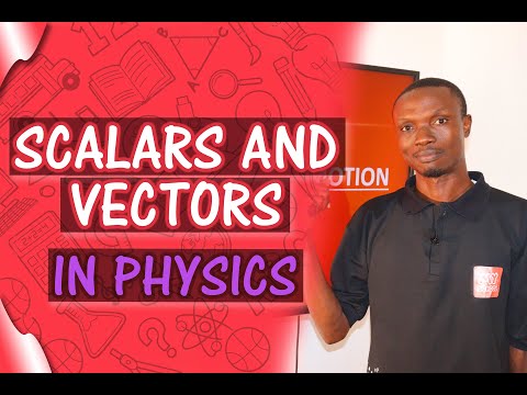 Simplifying SCALARS AND VECTORS to Your Understanding