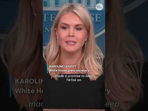 Tiktok stays as President Donald Trump extends deadline for ban