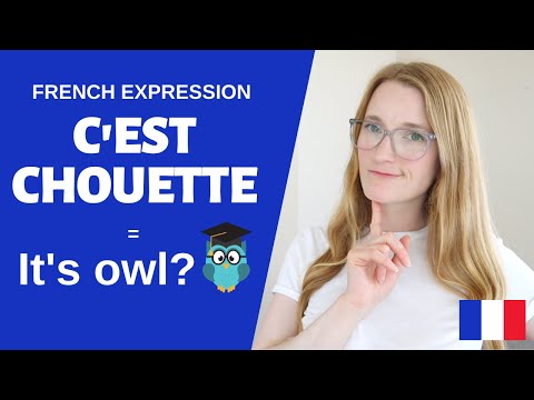 What does C'EST CHOUETTE mean in French? // #shorts