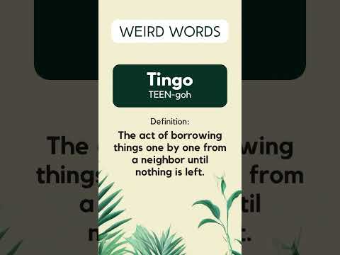 Weird Words - 4 - Tingo - Untranslatable Terms for Specific Situations #wordnerd #wordoftheday