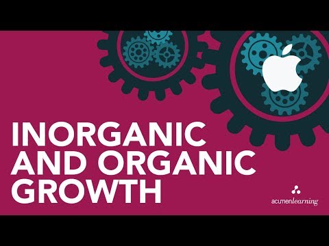 Inorganic and Organic Growth | Finance for Millennials