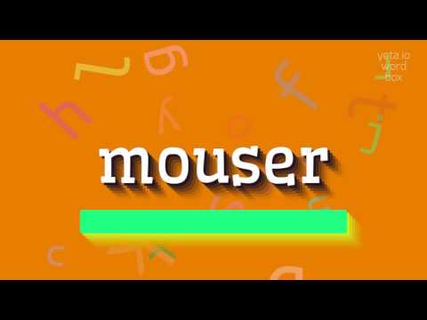 MOUSER - HOW TO SAY MOUSER?