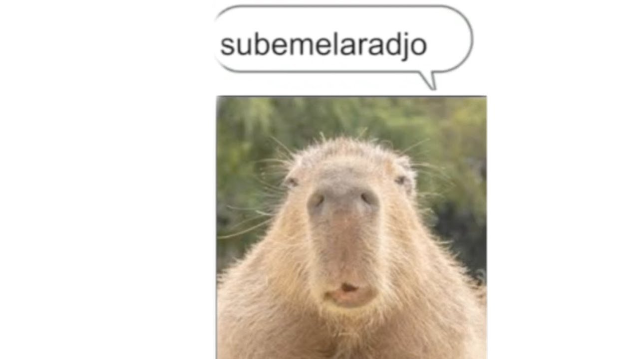 VERY XD MEMES #156