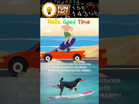 424 - 101 to a 1001 Fun Facts! #california #areacode