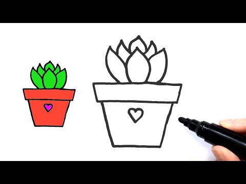 How to draw succulent plant in a pot | #67