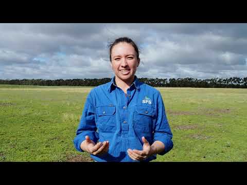 Visual indicators of soil condition Part II: Plants and pasture