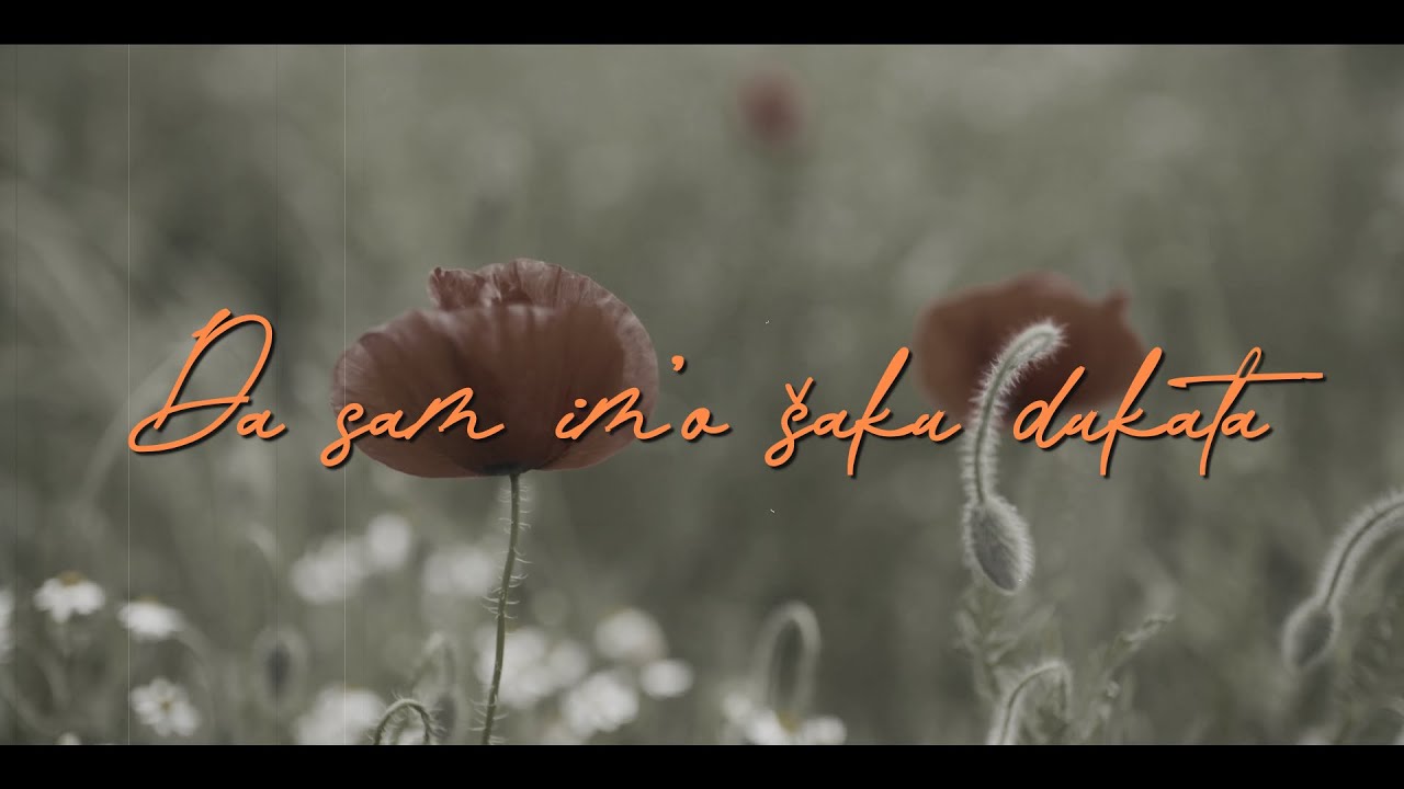 Da Sam Imo Šaku Dukata by Boris Ćiro Gašparac from Croatia | Popnable