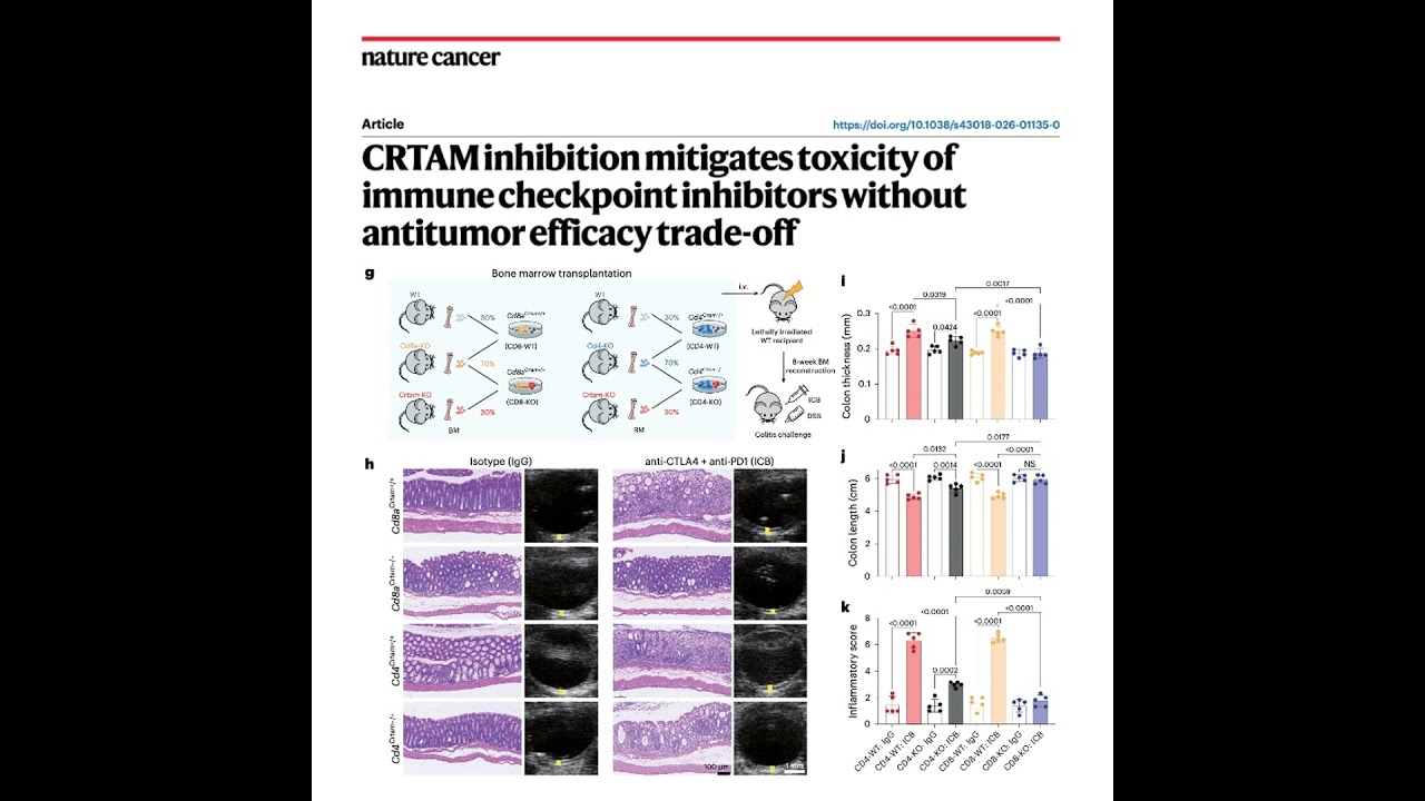 665-CRTAM as a T Cell Checkpoint for Immunotherapy Toxicity