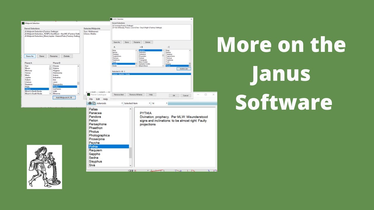 More on the Janus Software