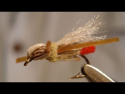 Josh Stanish: Biggie's Yellow Sally