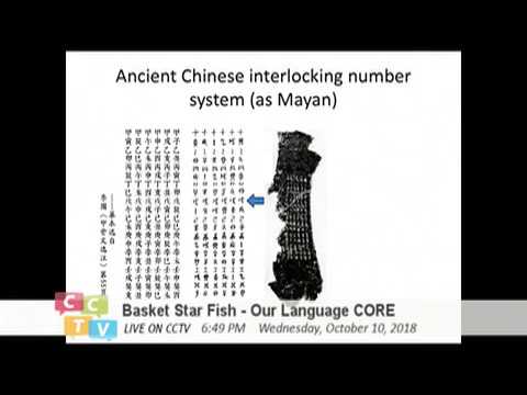 Basket Starfish - Our Language Core (011) Concept of A _ the unseen energy