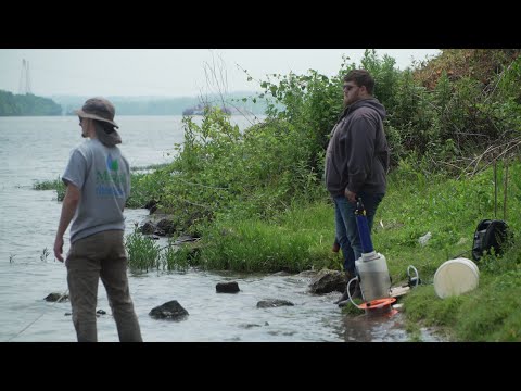 Environment Matters - Study Looks for Harmful Algal Bloom Triggers